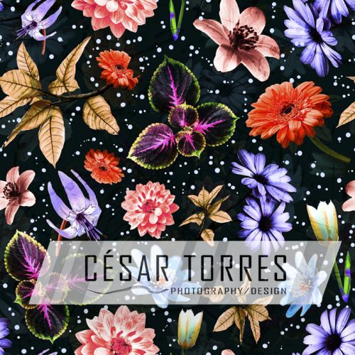 César Torres – Design, Illustration and Photography