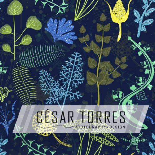César Torres – Design, Illustration and Photography