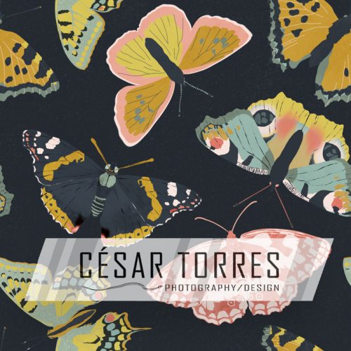 César Torres – Design, Illustration and Photography