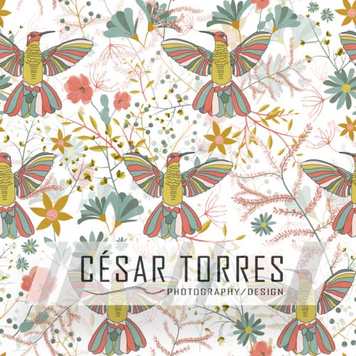 César Torres – Design, Illustration and Photography